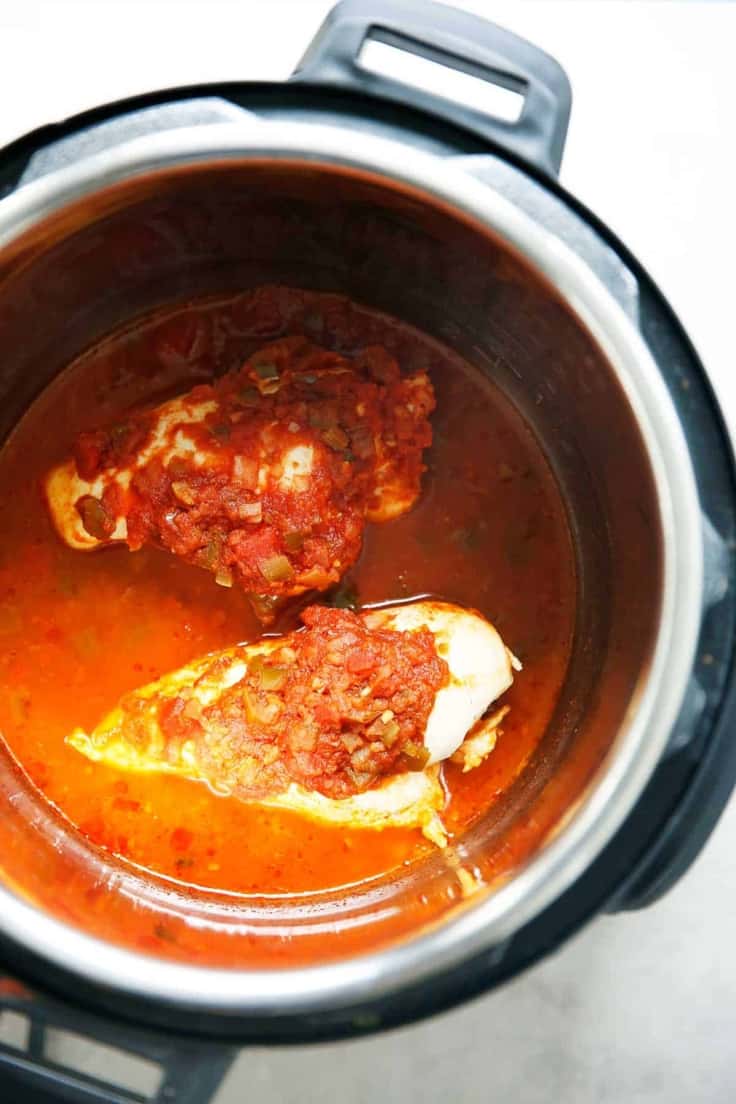 Two-Ingredient Salsa Chicken (Instant Pot or Slow Cooker) - Lexi's ...